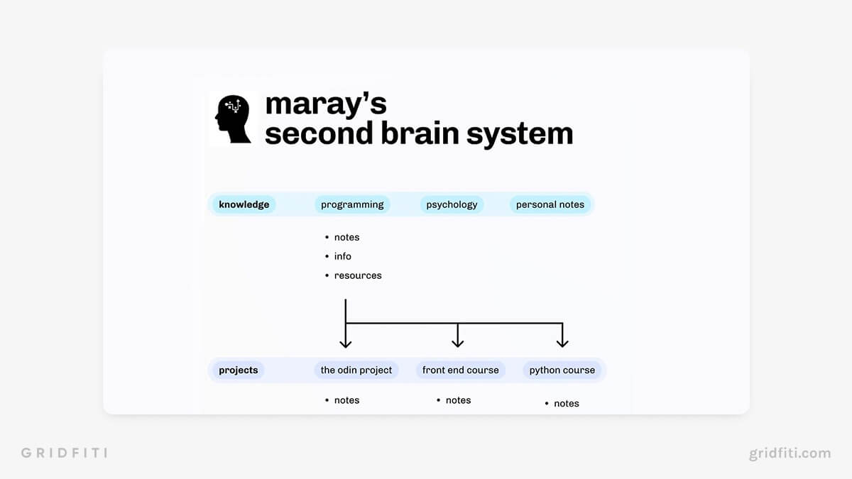 5 Notion Second Brain Brain Dump Templates PARA Method More 