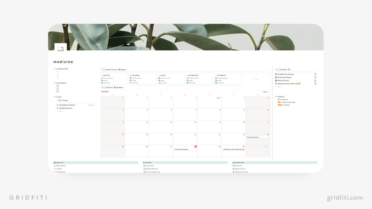 The 8 Best Notion Medical School Templates Gridfiti